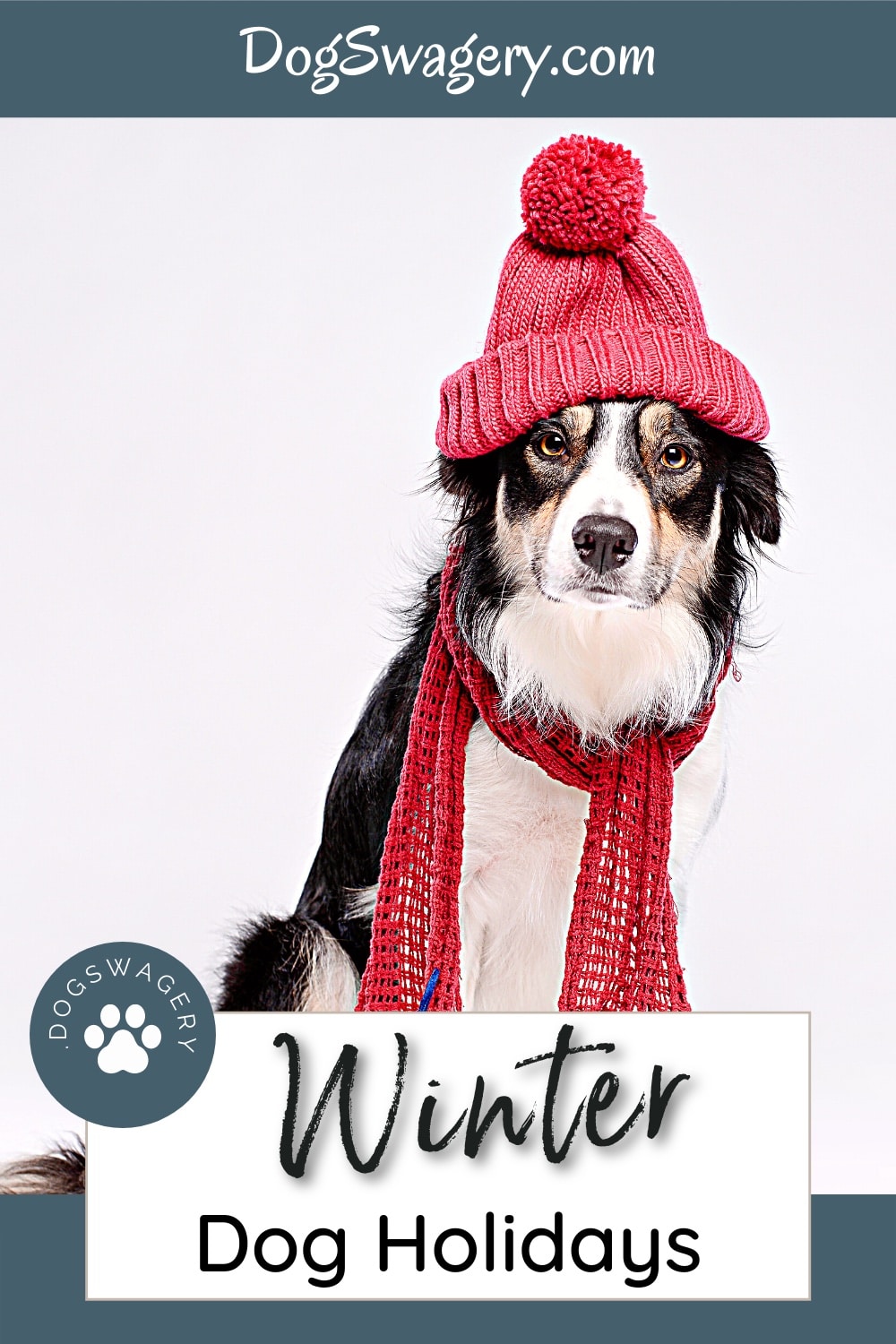 Winter Dog Holidays: January • February • March