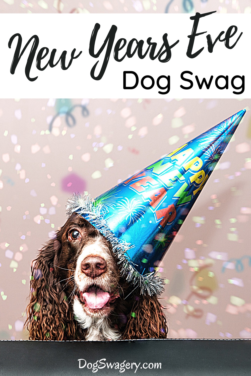 New Year's Eve Dog Swag
