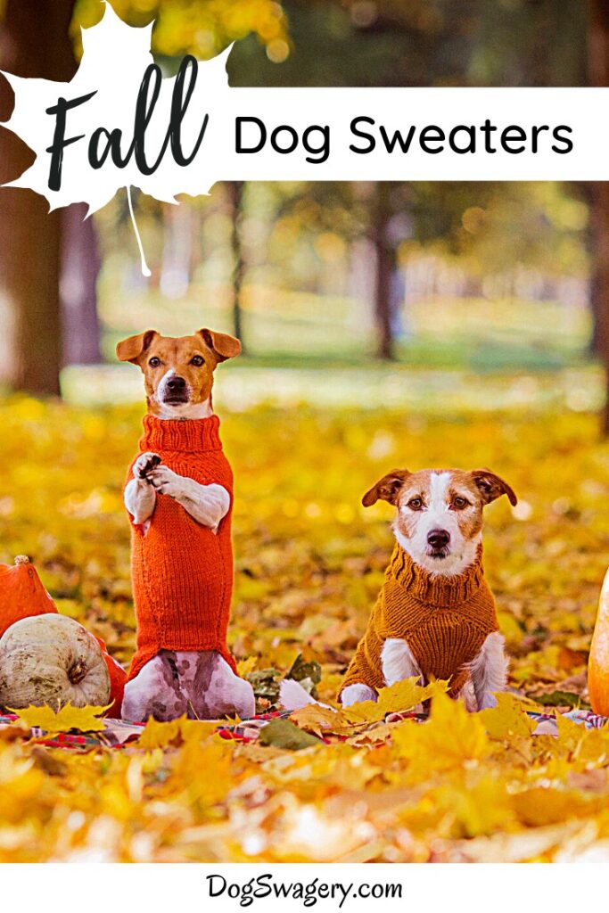 Knit Dog Sweaters for Fall