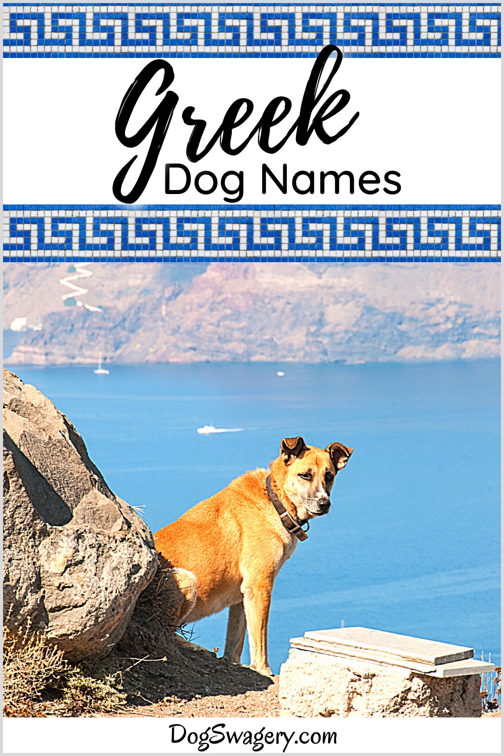 Discover 270+ Unique Greek Dog Names Inspired by Culture and Nature