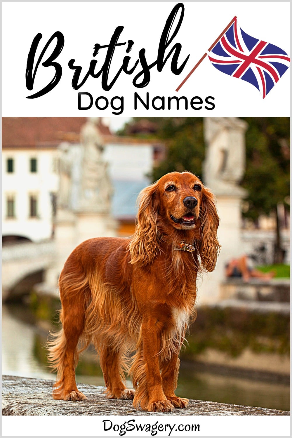 250+ British Dog Names: Explore the Best Names Inspired by British Culture