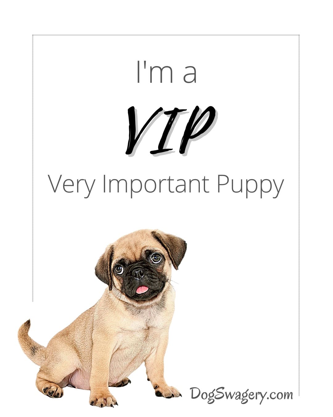 45+ Lovable Quotes about Puppies