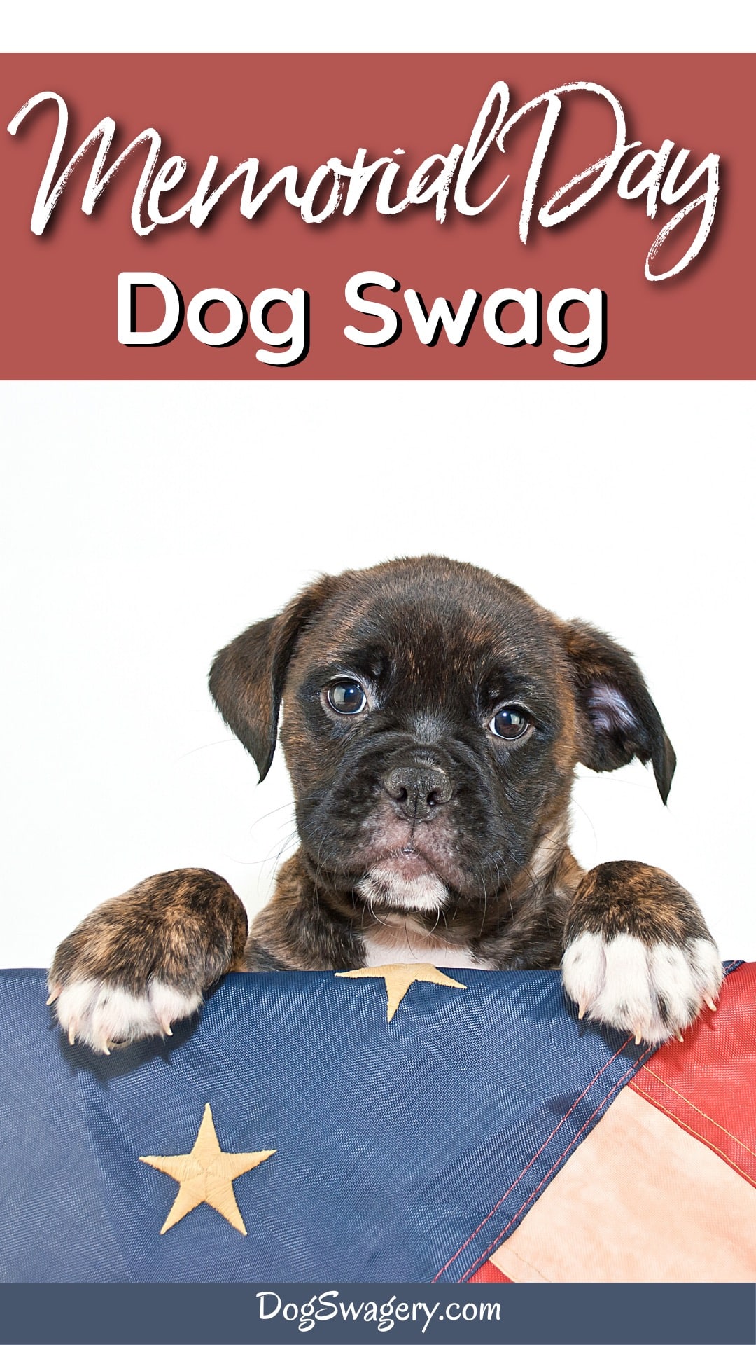 Memorial Day Dog Swag