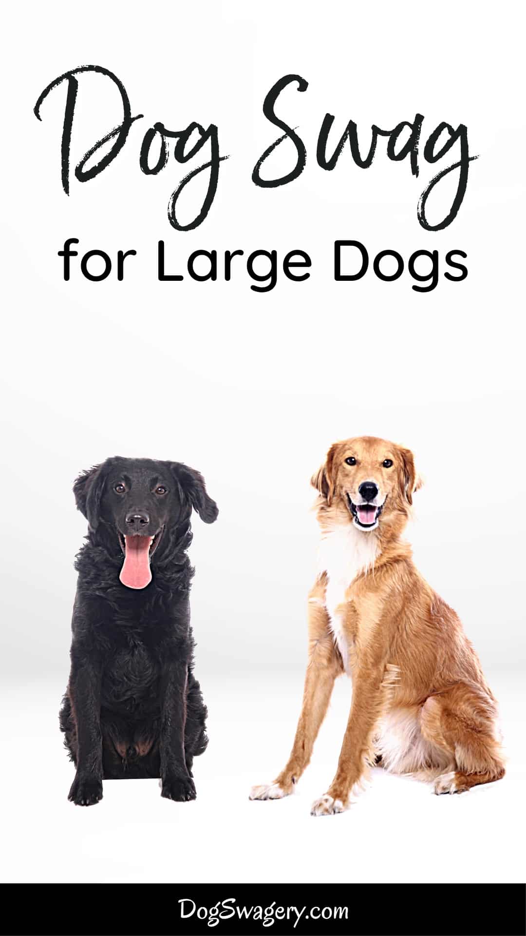 Dog Swag for Large Dogs – DogSwagery