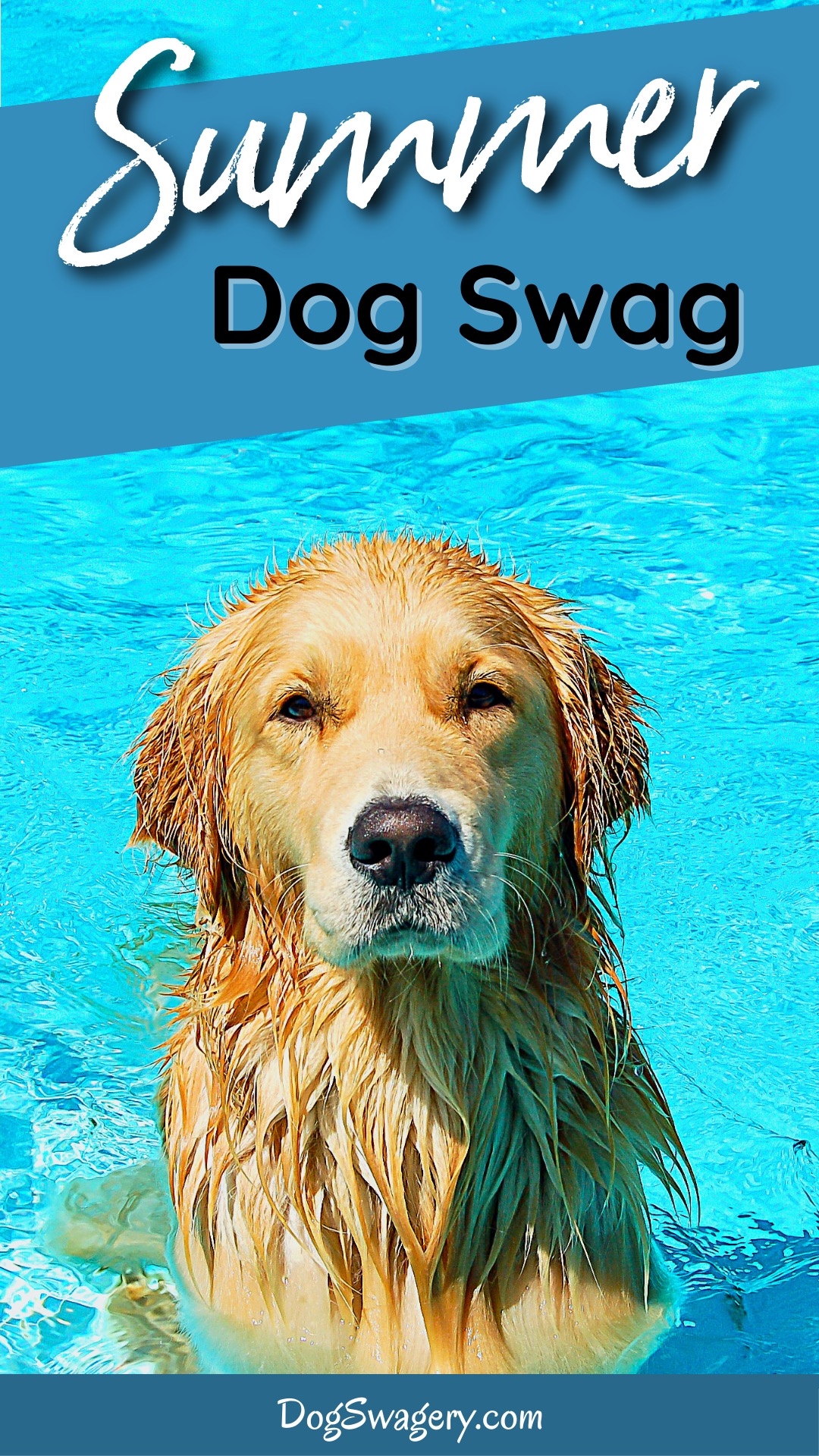 DogSwagery – Dog Swag to make your Dogs Wag