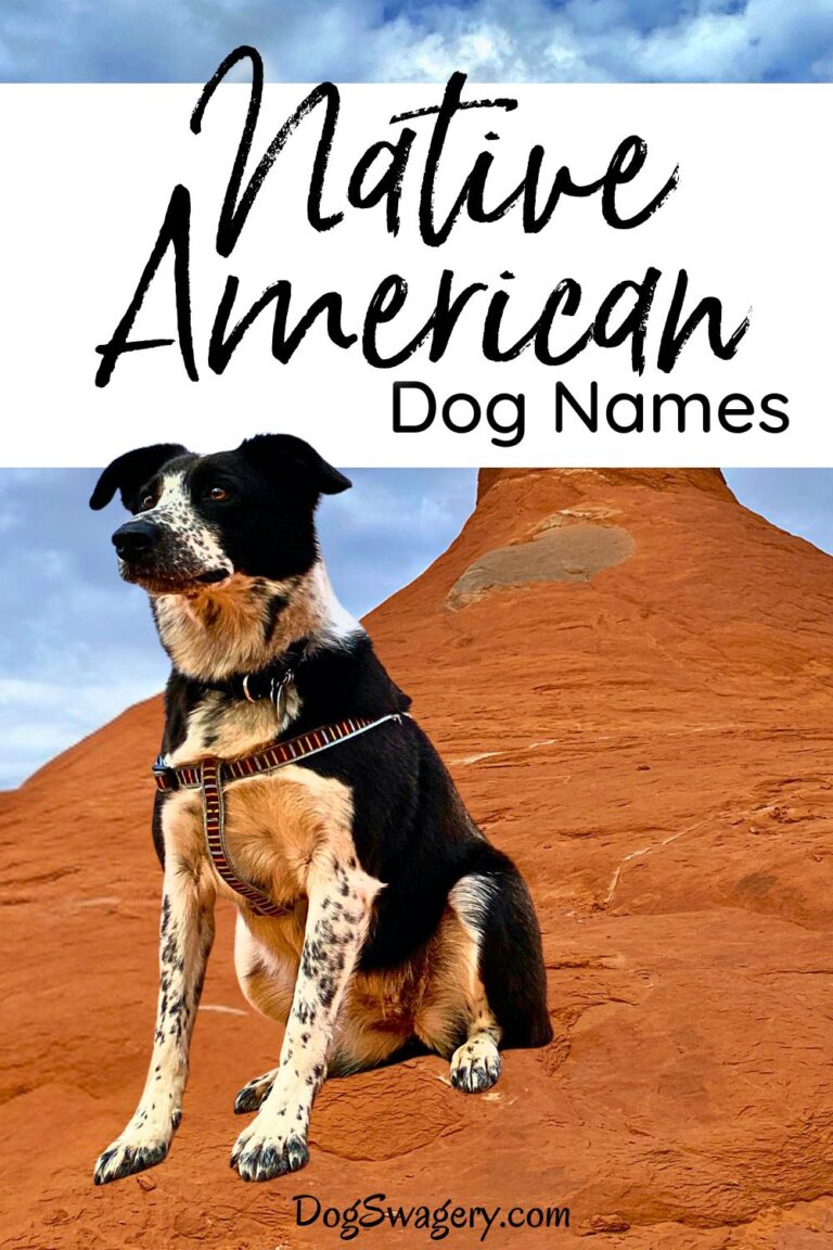 Native American Dog Names: Explore Cultural Heritage with Meaningful ...