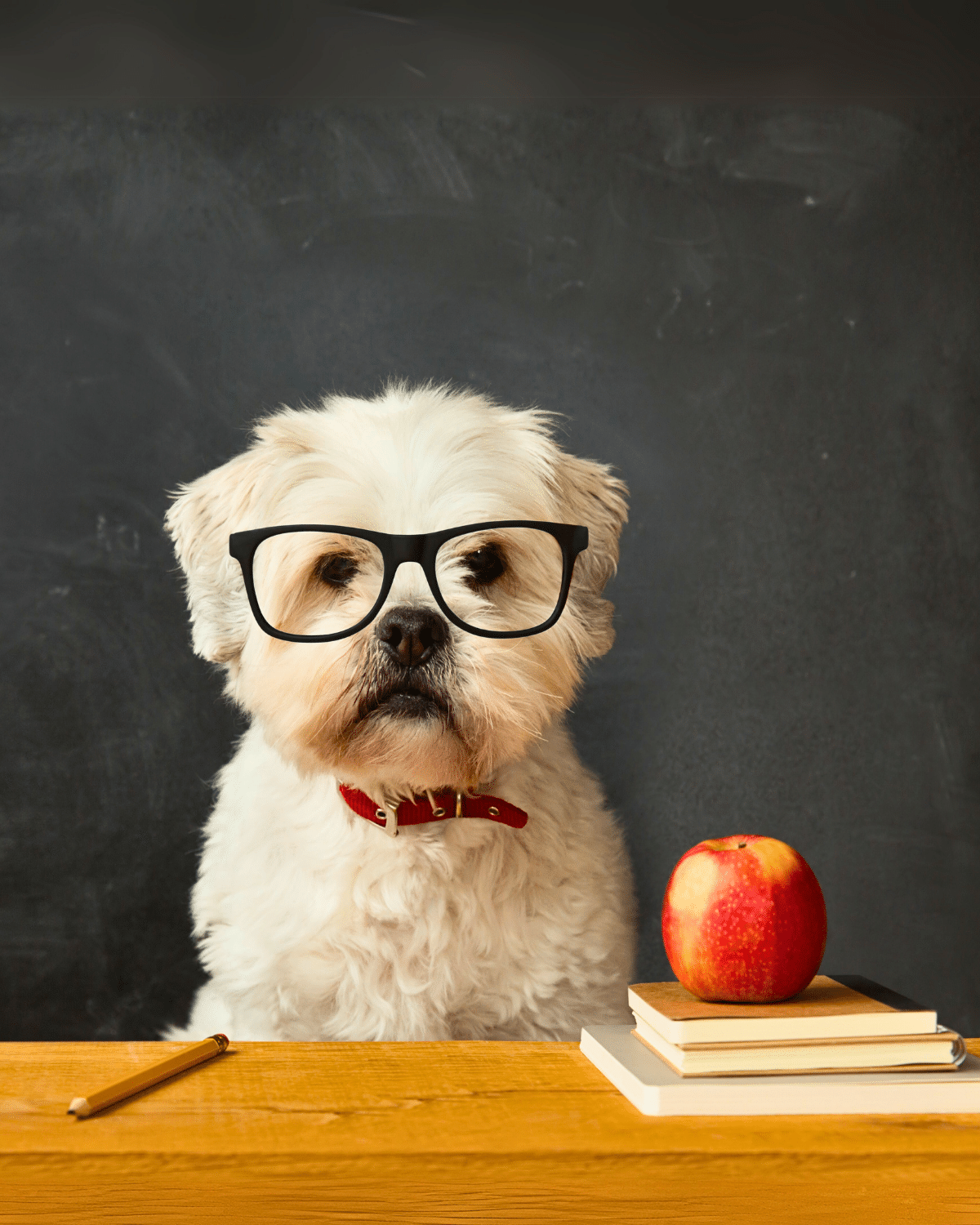 100+ Cool Science Dog Names for Science Nerds