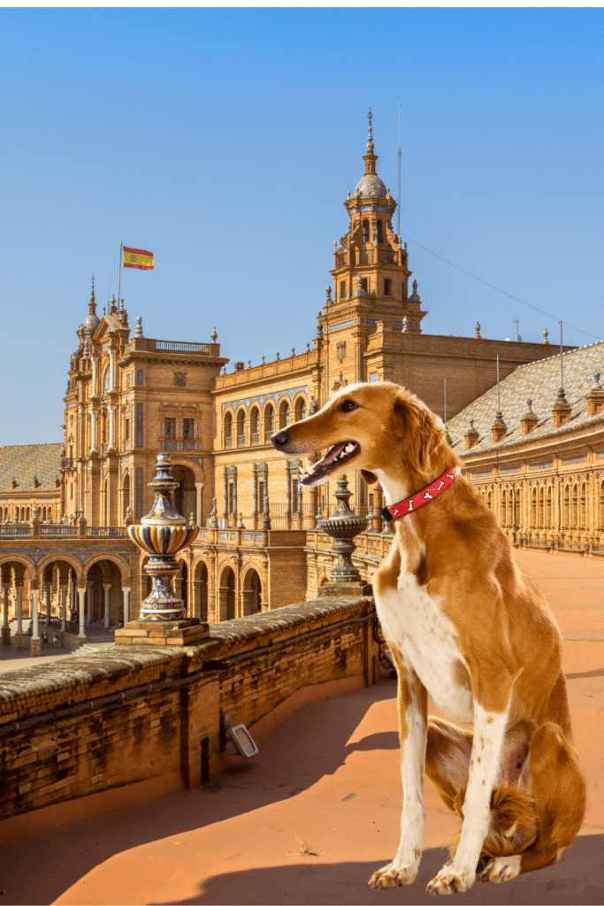 Discover the Charm of Spanish Dog Names: A Comprehensive Guide
