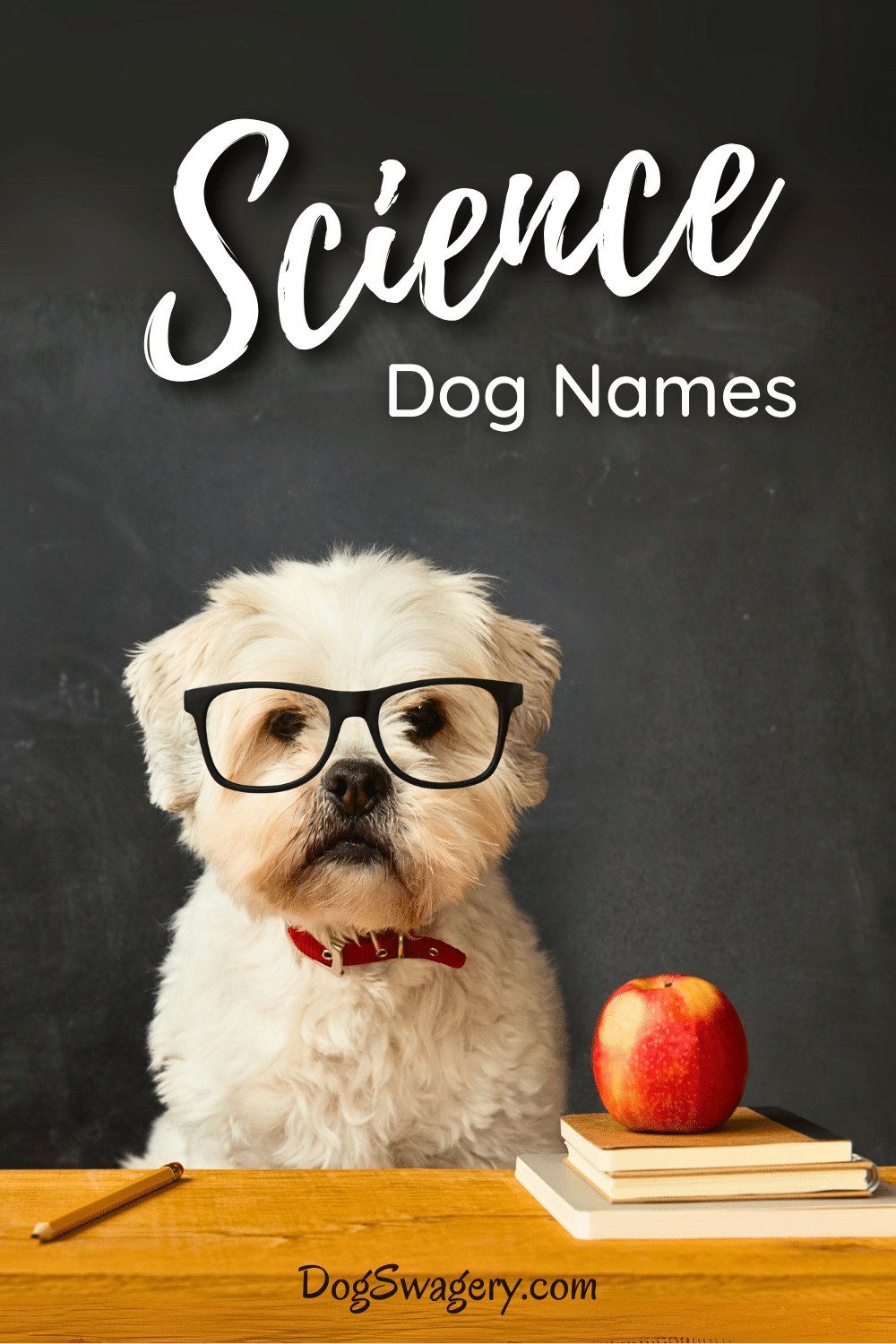 100+ Cool Science Dog Names for Science Nerds