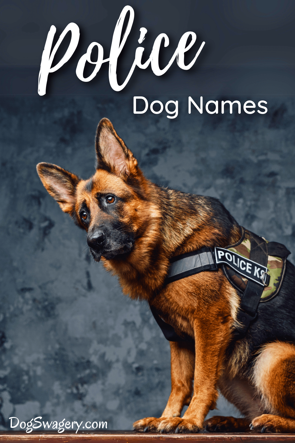 Powerful Police Dog Names for Your K-9 Companion