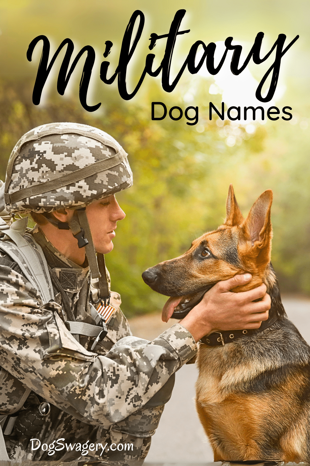 250+ Military Dog Names for your Strong & Brave Pup – DogSwagery
